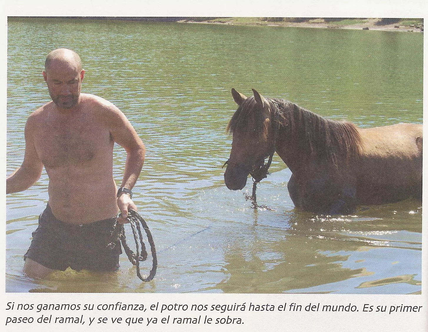 Crítica a «La lógica del caballo», de Lucy Rees - ¡Derechos Animales ya!