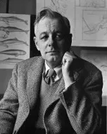 Nicho ecológico: fundamental y realizado - ¡Derechos Animales ya!